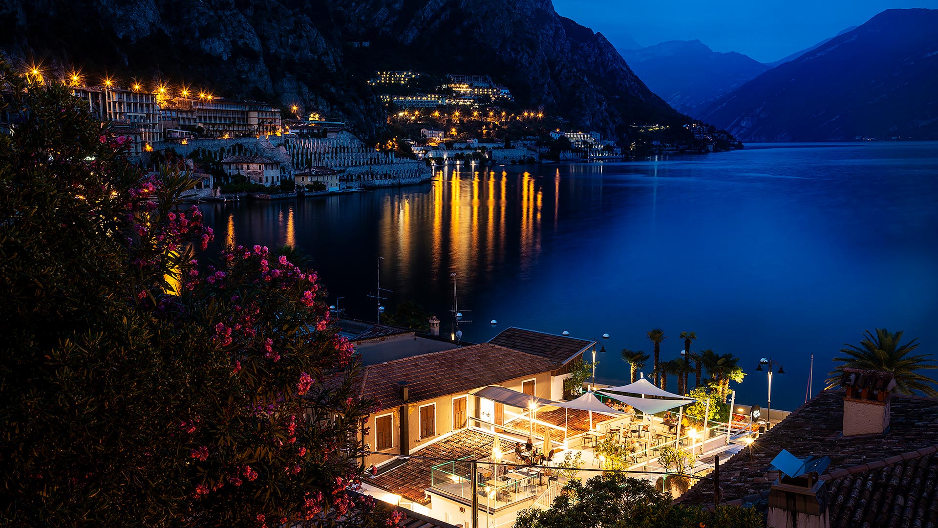 Altea Software: web Agency in Alto Adige, i tuoi servizi per il web